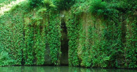 Dudley walk: West Midlands