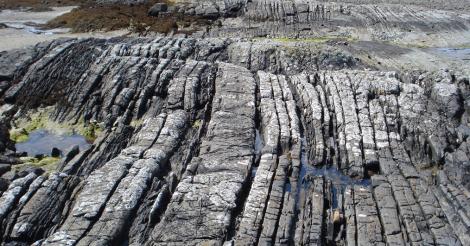 Killard peninsula walk; Strangford Lough, National Nature Reserve ...