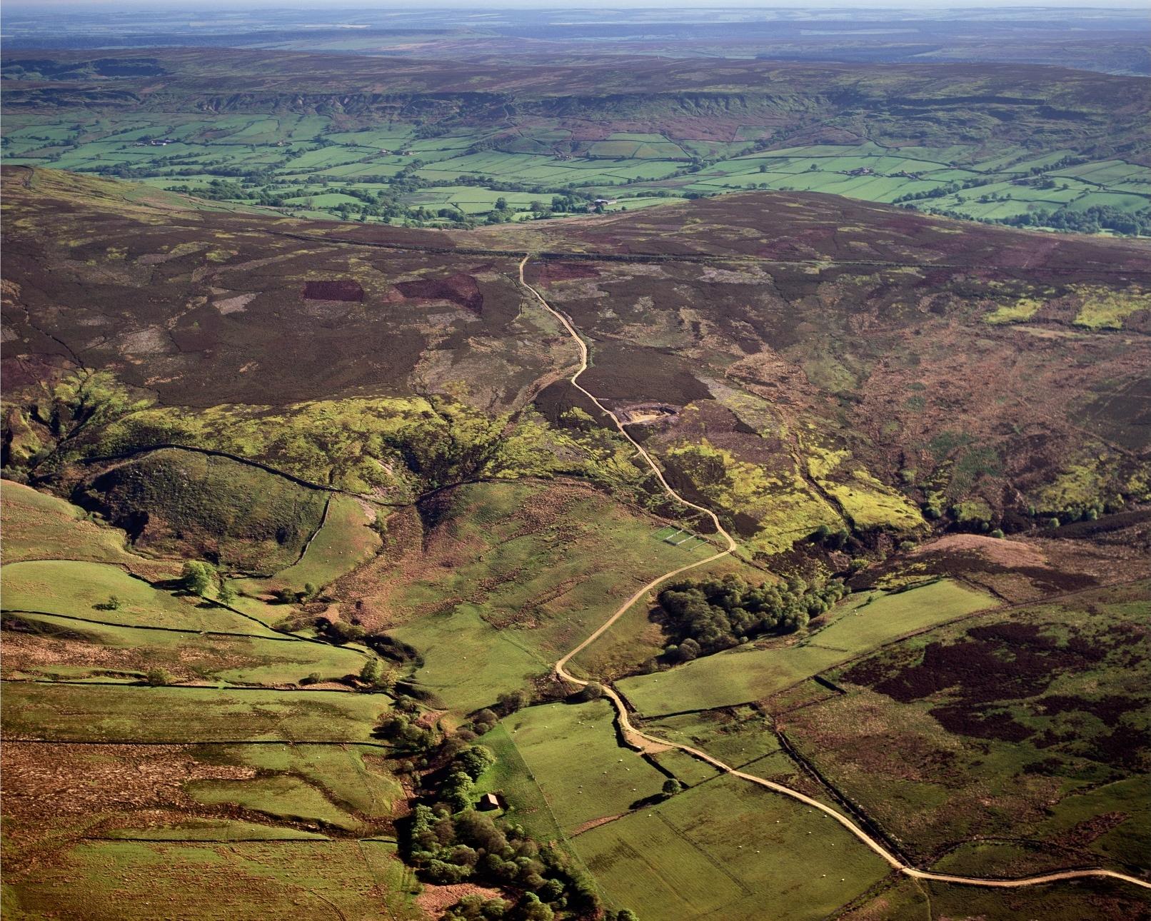 English Moors