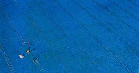 Britain from the Air - Linseed Fields