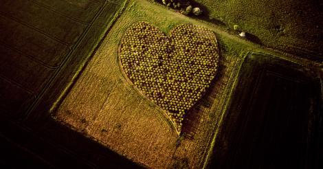 Britain from the Air - Hawthorn Heart