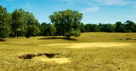 Wangford Warren, near Thetford, Suffolk viewpoint