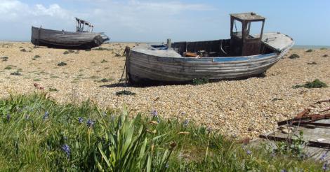 Dungeness walk, Kent's coast