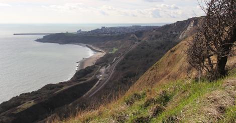 Folkestone Warren viewpoint