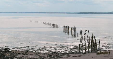 Goldcliff, Newport viewpoint