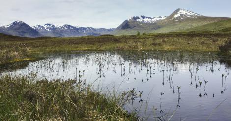 Rannoch Moor walk: Highlands